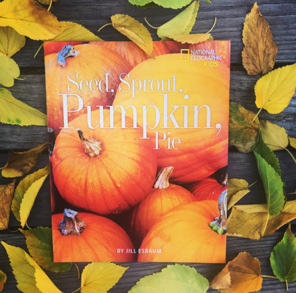 Fall Books – Sebastopol Reading Tutor